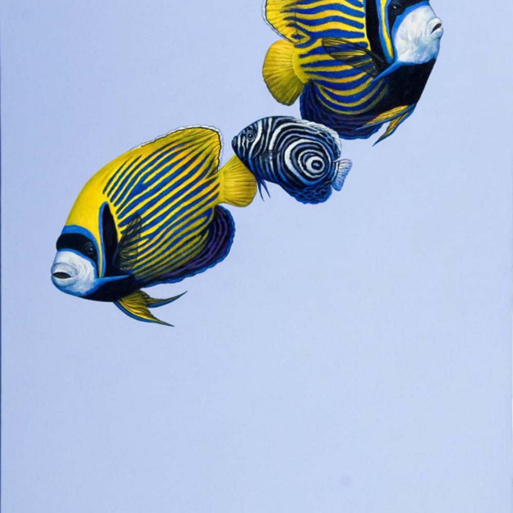 Keith Siddle Archives - Portico