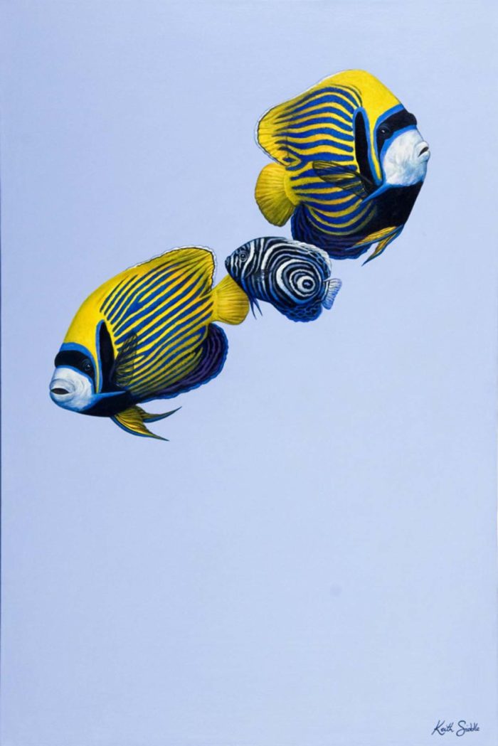 3 is the magic number - Portico